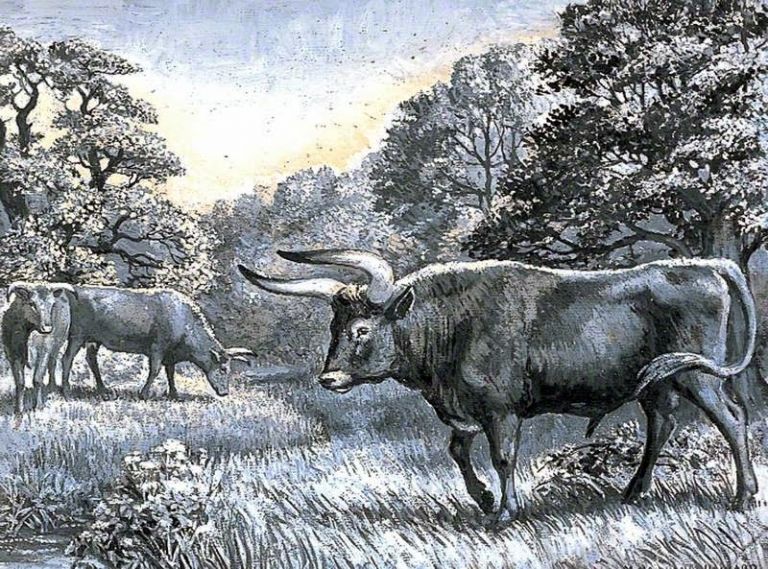 uro-mitologia – Toros de Lidia